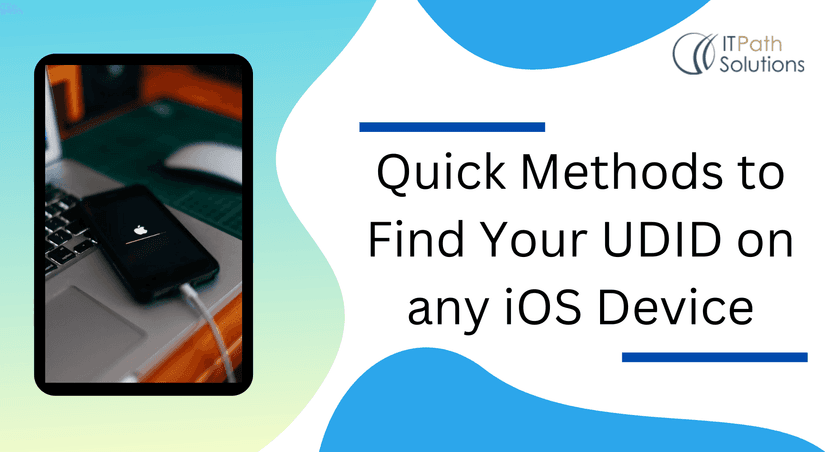 Quick Methods to Find Your UDID of iPhone or on any iOS Device - IT ...